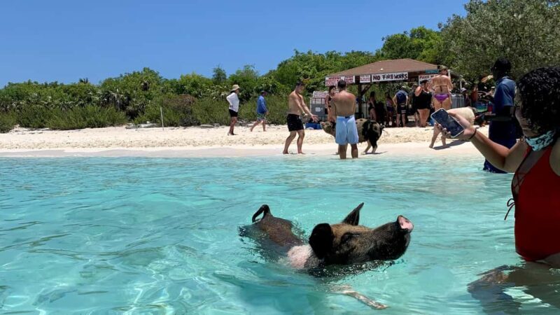 Nassau: Discover Exuma Island Hopping and Swimming Pigs Tour - Lunch at a Local Bahamian Restaurant