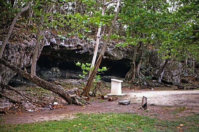 Nassau Express Private Tour: Forts, Parliament & Caves - Who Will Love This Tour?