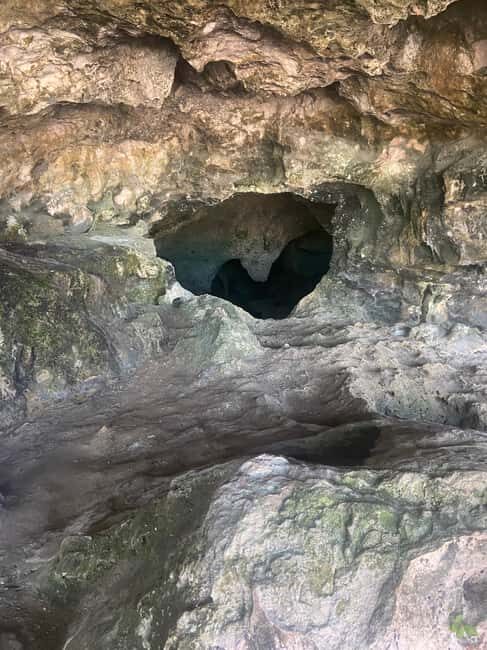 Nassau: Historic City Tour with Drink and Food Tasting - The Sum Up