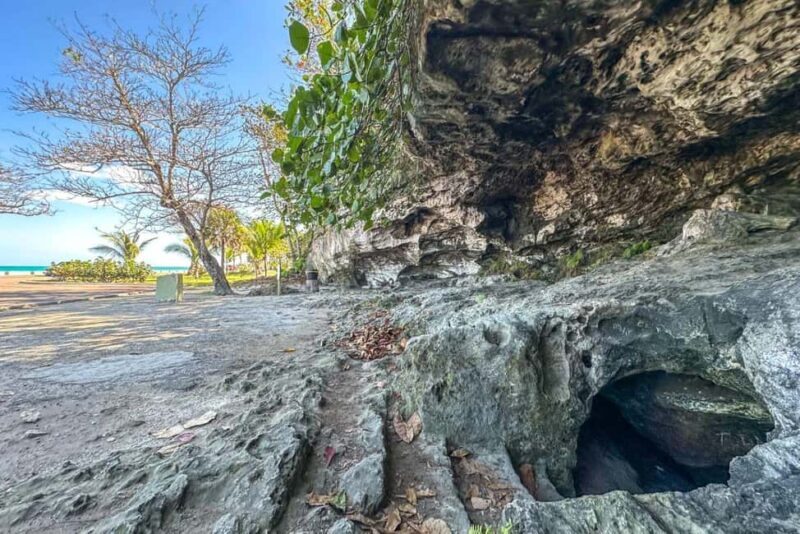 Nassau Mystery & Nature Tour: Bat Caves, Trails & Legends - Key Points