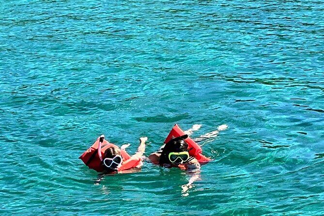 Nassau: Pig Island and Snorkeling Experience - What to Expect from the Tour