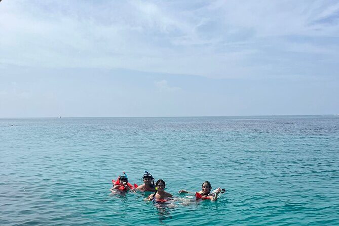 Nassau: Pig Island and Snorkeling Experience - The Sum Up