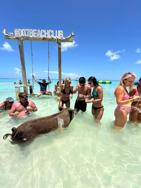Nassau: Pigs, Snorkel, Turtles, Lunch, Private Beach Club - Key Points