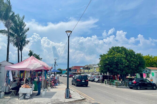 Nassau Private Airport & Cruise Port Transfer - Who Will Benefit Most?