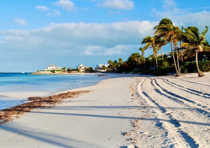 Nassau Private Beach-Hopping Tour: Soft Sands & Ocean Vibes - Who Will Love This Tour?