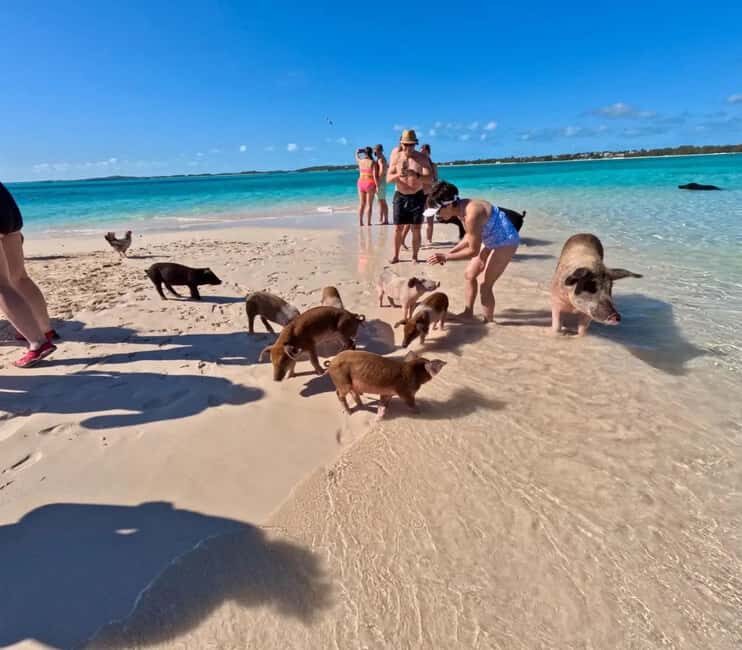 Nassau: Private Boat Charter Snorkel Tour - Who Should Consider This Tour?