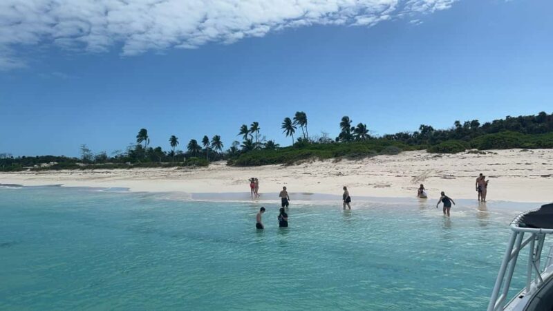 Nassau: Private Island & Snorkeling, Turtles, Drinks, & BBQ - Who Will Love This Tour?
