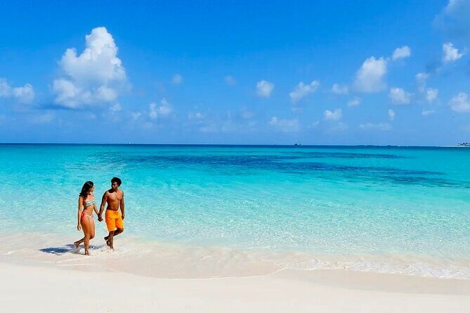 Nassau Private Swim with Pigs, Turtles and Snorkel Tour - Key Points