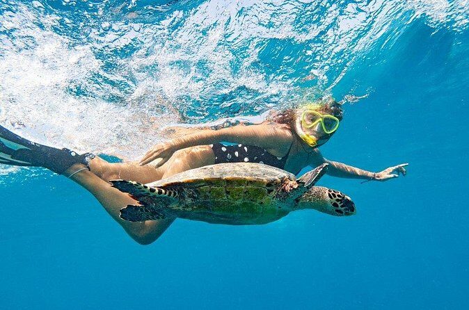 Nassau Private Swim with Pigs, Turtles and Snorkel Tour - FAQ