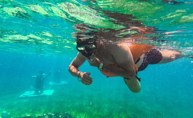 Nassau: Reef Glass Bottom & Snorkel Tour - What to Expect from the Reef Glass Bottom & Snorkel Tour