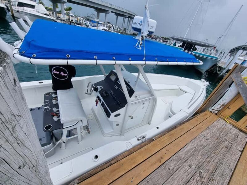 Nassau: Rose Island Swimming Pigs & Turtles Snorkeling Tour - Final Thoughts