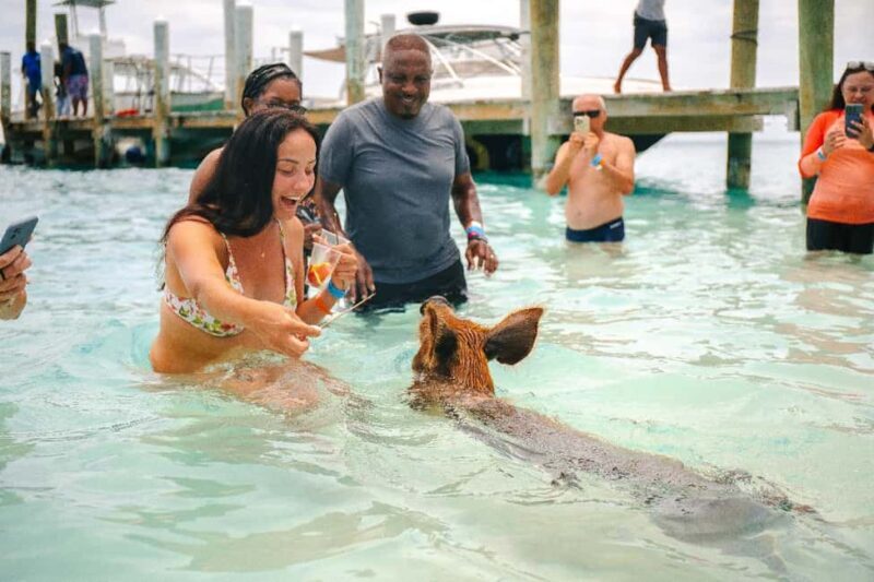 Nassau: Rose Island's Sand Dollar Beach Resort - Key Points