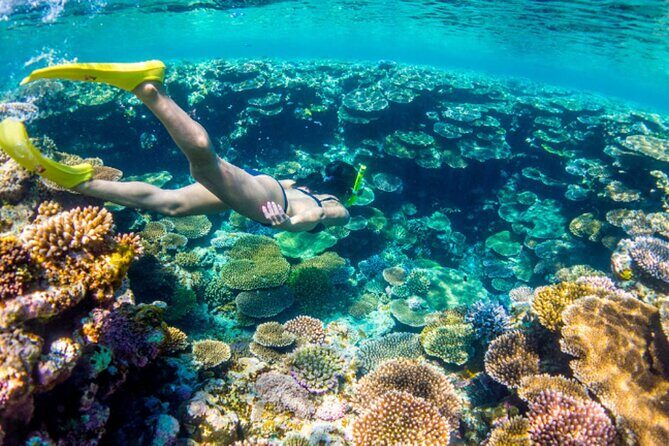 Nassau Sail & Snorkel Adventure with 1 Hour Open Bar - The Experience: What to Expect