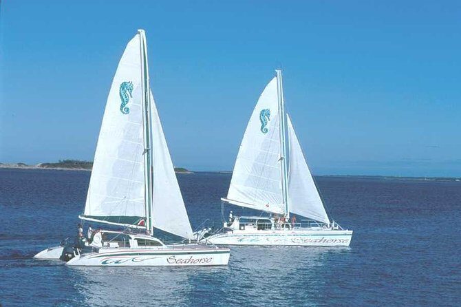 Nassau Sail & Snorkel Adventure with 1 Hour Open Bar - Who Should Consider This Tour?