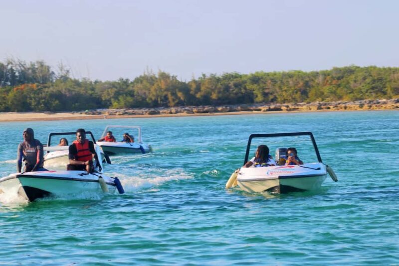 Nassau: Self-Drive Speedboat Ride and Pig Swimming Encounter - FAQ