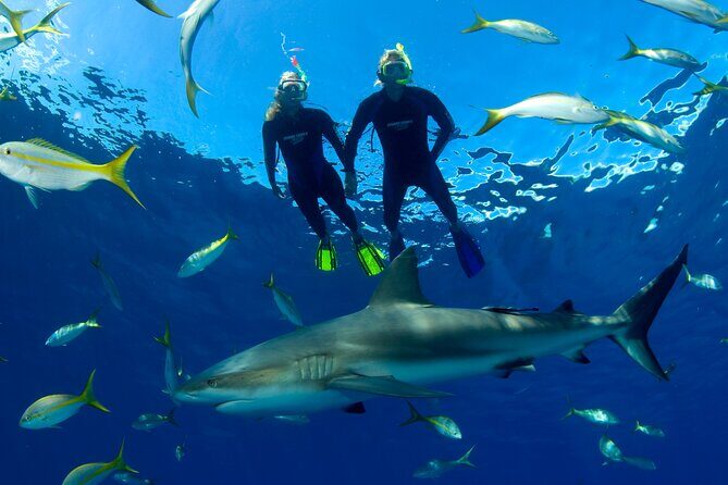 Nassau Shore Excursion: Bahamas Snorkel Adventure - FAQ