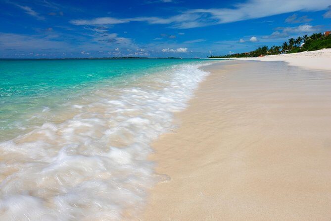 Nassau Shore Excursion: Sightseeing and Snorkeling Tour - Exploring Nassau’s Highlights