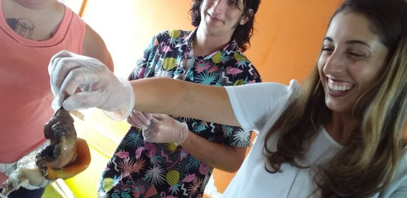 Nassau: Sip, Sample & See, Food & History Bus Tour - Why This Tour Works for Travelers