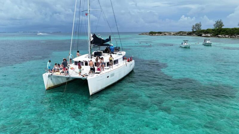 Nassau: Snorkeling, Pig Beach, Swim with Turtles, and Lunch - The Itinerary Breakdown