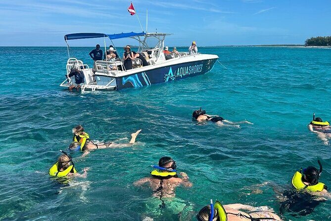 Nassau Snorkeling, Turtle Spotting and Sunset tour - Final Summary