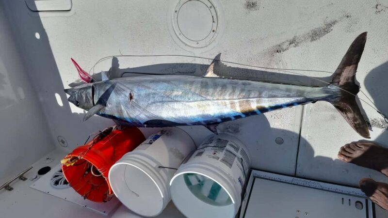Nassau: Sport-fishing private charter . - Source