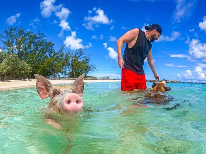 Nassau: Sun Cay and Swimming Pigs Boat Trip with Lunch - Detailed Breakdown of the Tour Experience