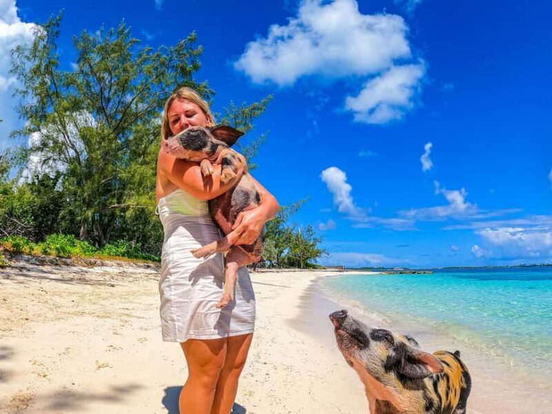 Nassau: Sun Cay and Swimming Pigs Boat Trip with Lunch - Final Thoughts: Who Will Love This Tour?