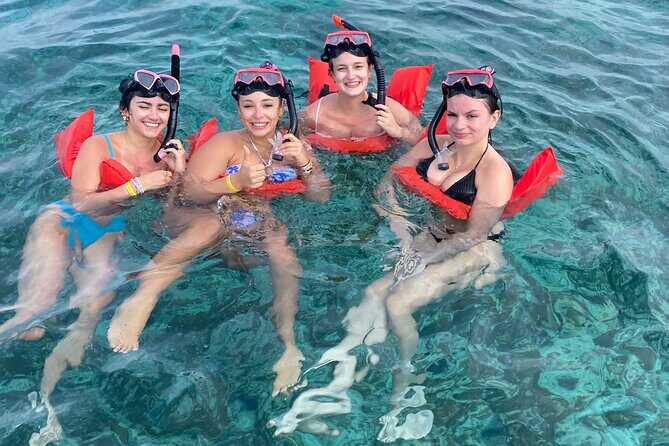 Nassau: Swimming Pigs And Snorkel With Turtles - What the Reviews Say