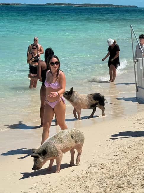 Nassau: Swimming Pigs and Turtles Boat Tour with Snorkeling - What Makes This Tour Stand Out?