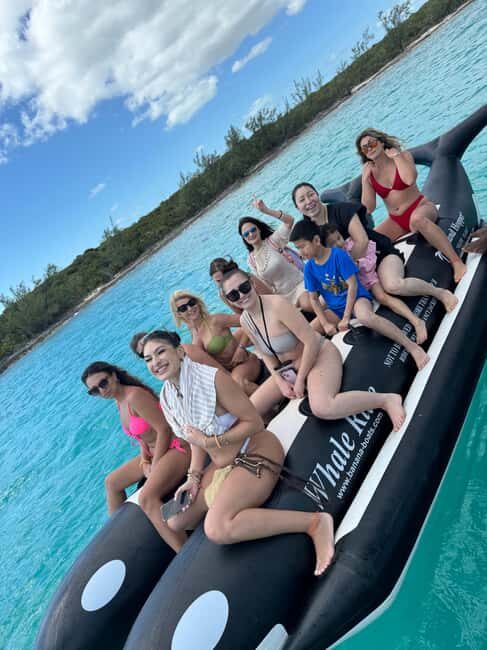 Nassau: Swimming Pigs and Turtles Boat Tour with Snorkeling - Practical Details and What to Expect