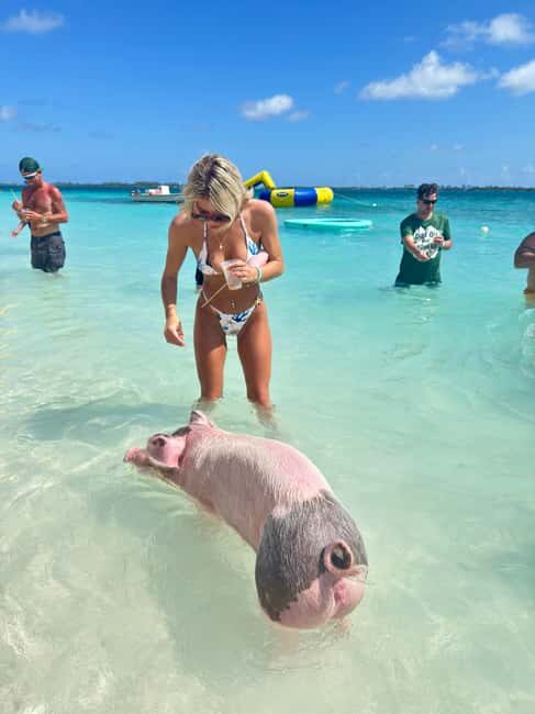 Nassau: Swimming Pigs and Turtles Boat Tour with Snorkeling - The Sum Up