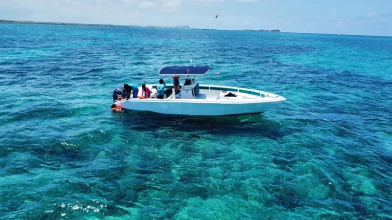 Nassau: Swimming Pigs Private Boat Tour - Up to 7 Persons - Key Points