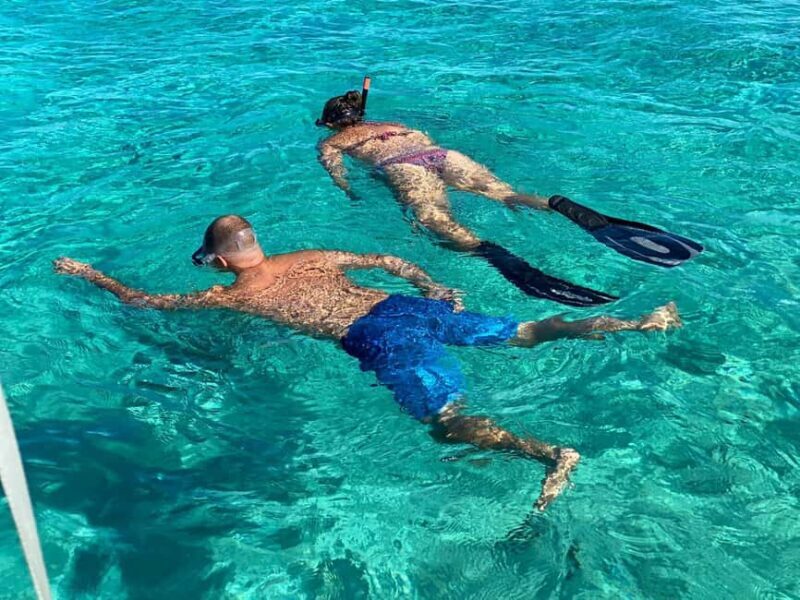 Nassau: Swimming Pigs, Snorkel and Lunch by Speed Boat - Who Will Love This Tour?