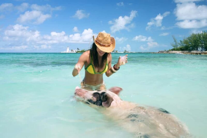Nassau: Swimming Pigs, Snorkeling, Lunch, & Beach Boat Tour - An Honest Look at the Tour Experience