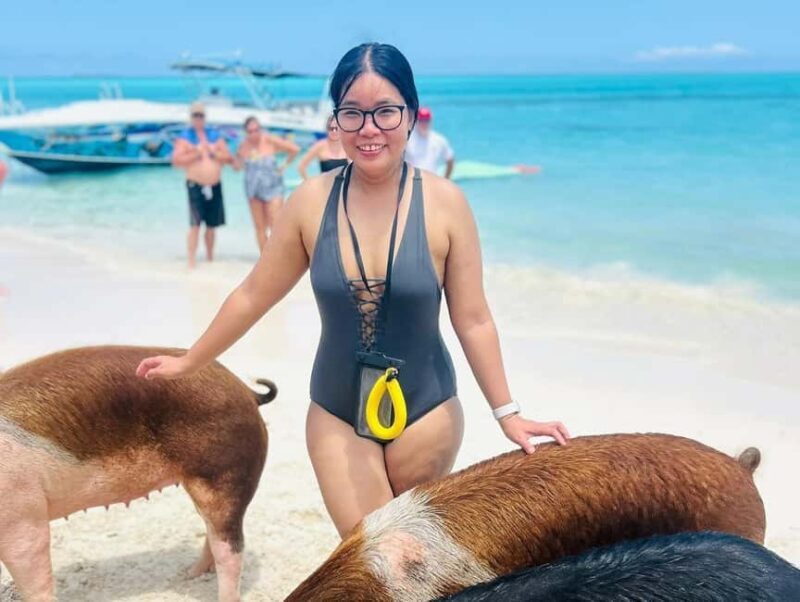 Nassau: Swimming Pigs, Turtles, Snorkel & More - Key Points