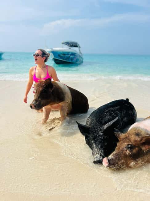 Nassau: Swimming Pigs, Turtles, Snorkel & More - What Makes This Tour Special?