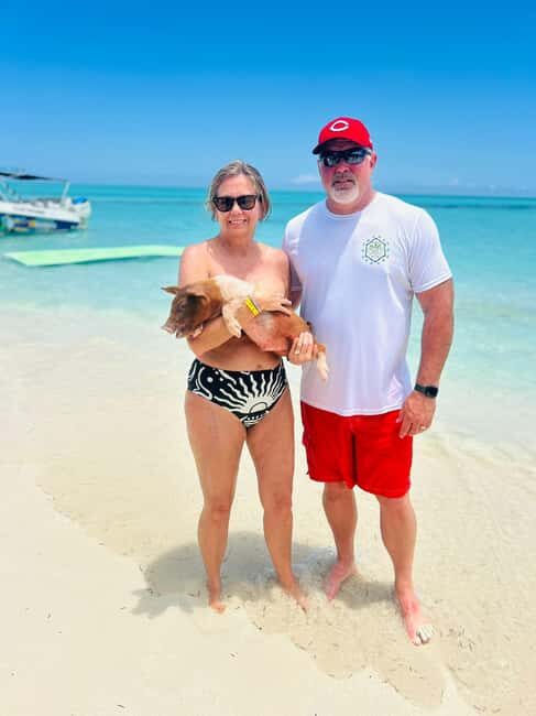 Nassau: Swimming Pigs, Turtles, Snorkel & More - Final Thoughts: Is This Tour for You?