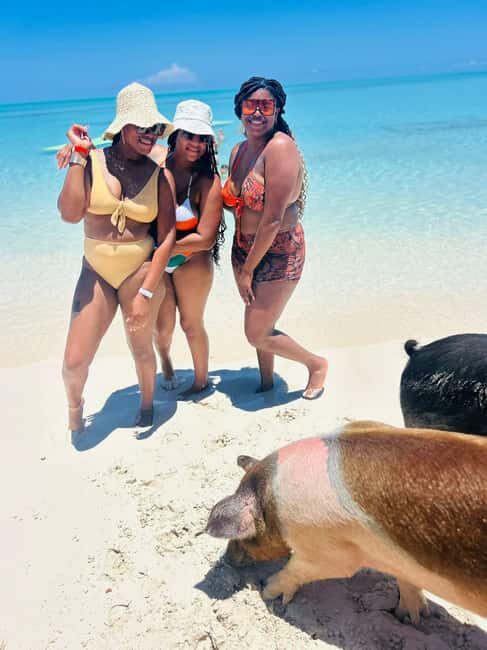 Nassau: Swimming Pigs, Turtles, Snorkel & More - FAQ