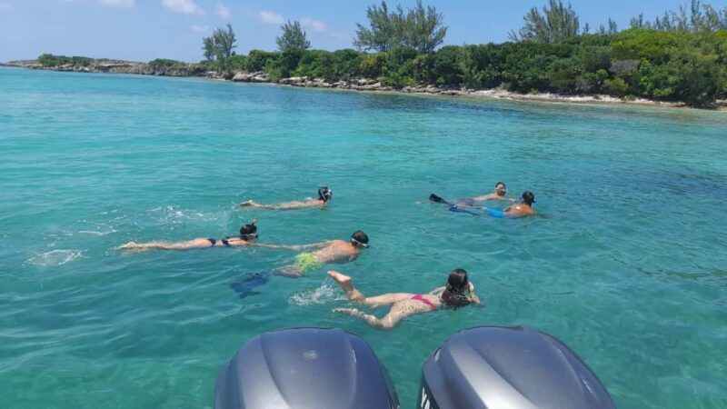 Nassau: Swimming with Pigs, Snorkeling, and Sightseeing Tour - FAQs