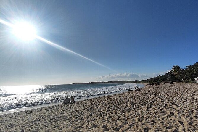 Natadola Beach Half Day Private Excursion from Nadi/Denarau - Final Thoughts