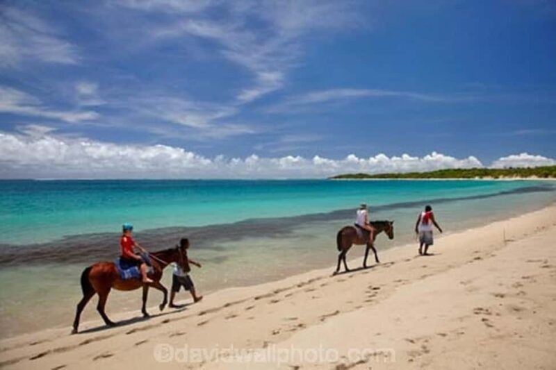 Natadola Beach Tour With Tifajek Mud Pool & Hotspring - Final Thoughts