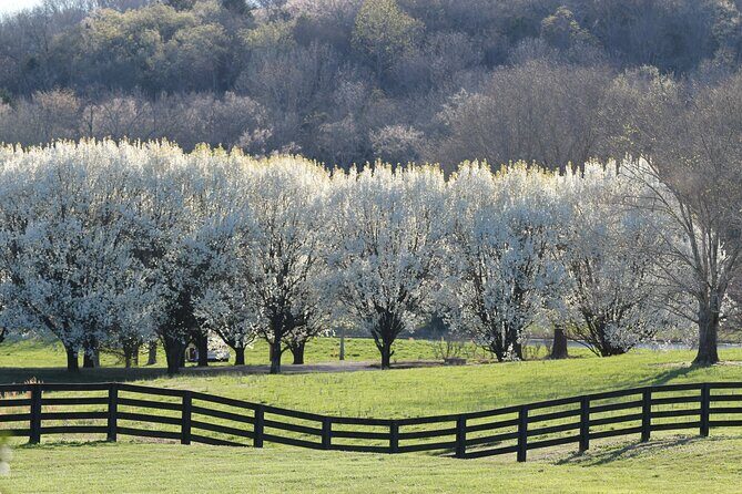 Natchez Trace Parkway Self-Guided Driving Audio Tour - In The Sum Up