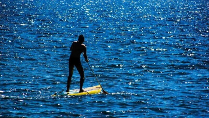 Natick: Lake Cochituate Paddleboard Rental - An Immersive Look at the Lake Cochituate Paddleboard Experience