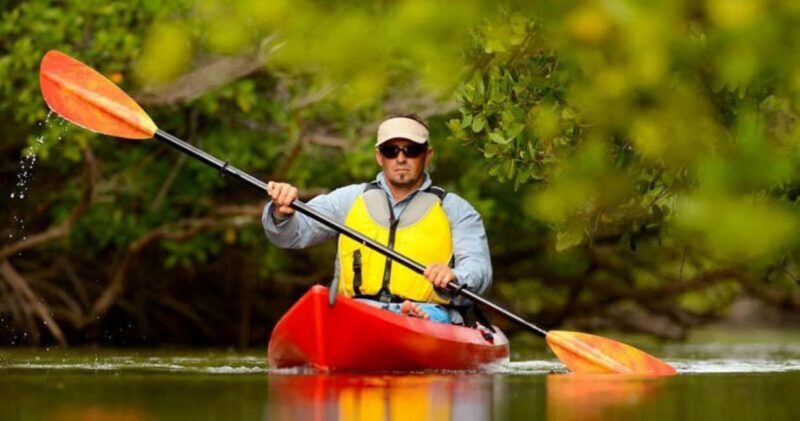 Natick: Lake Cochituate Single or Tandem Kayak Rental - The Experience in Detail