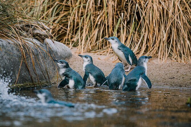 National Aquarium of New Zealand in Napier General Admission - What to Expect at the Aquarium