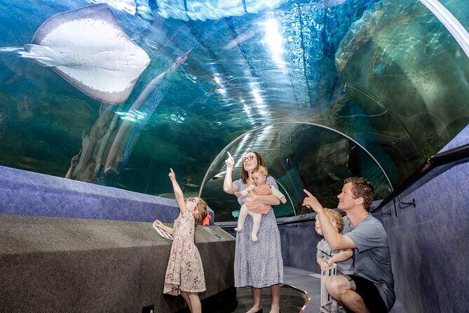 National Aquarium of New Zealand in Napier General Admission - The Sum Up