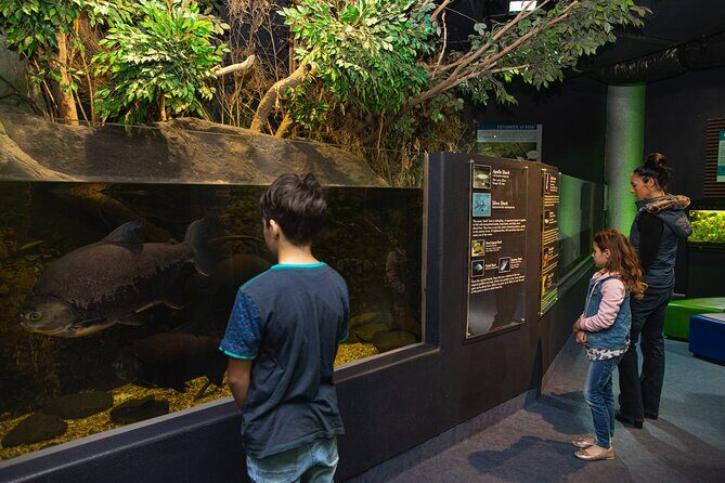National Aquarium of New Zealand in Napier General Admission - FAQ