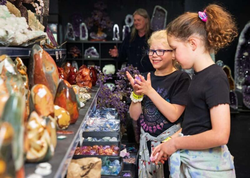 National Dinosaur Museum - Entry Ticket - Final Thoughts