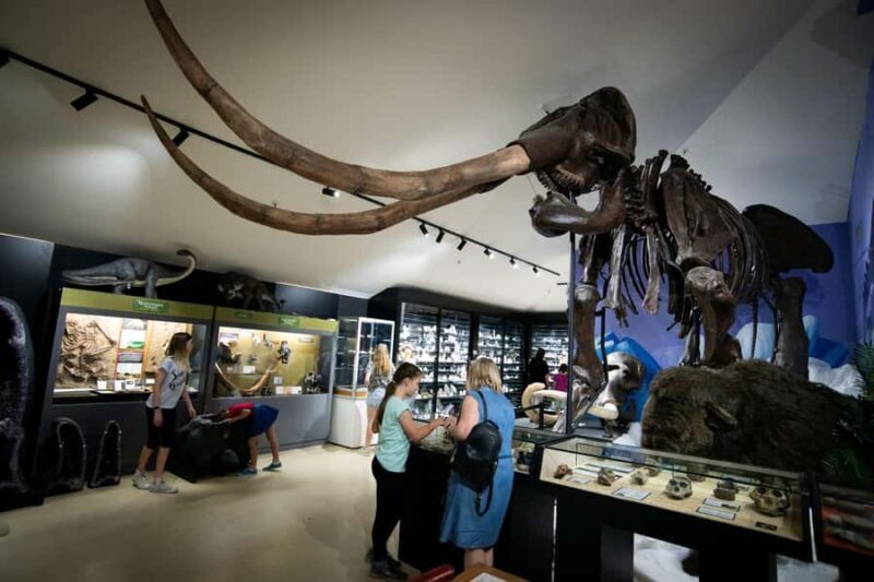 National Dinosaur Museum - Entry Ticket - FAQ