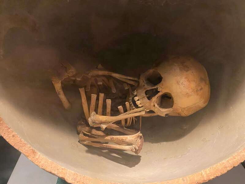 National Museum of Anthropology: A Journey into Mexico's Past-Spanish Language - An Authentic Journey into Mexico’s Past